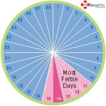 Best time to try to get pregnant Understand your cycles better